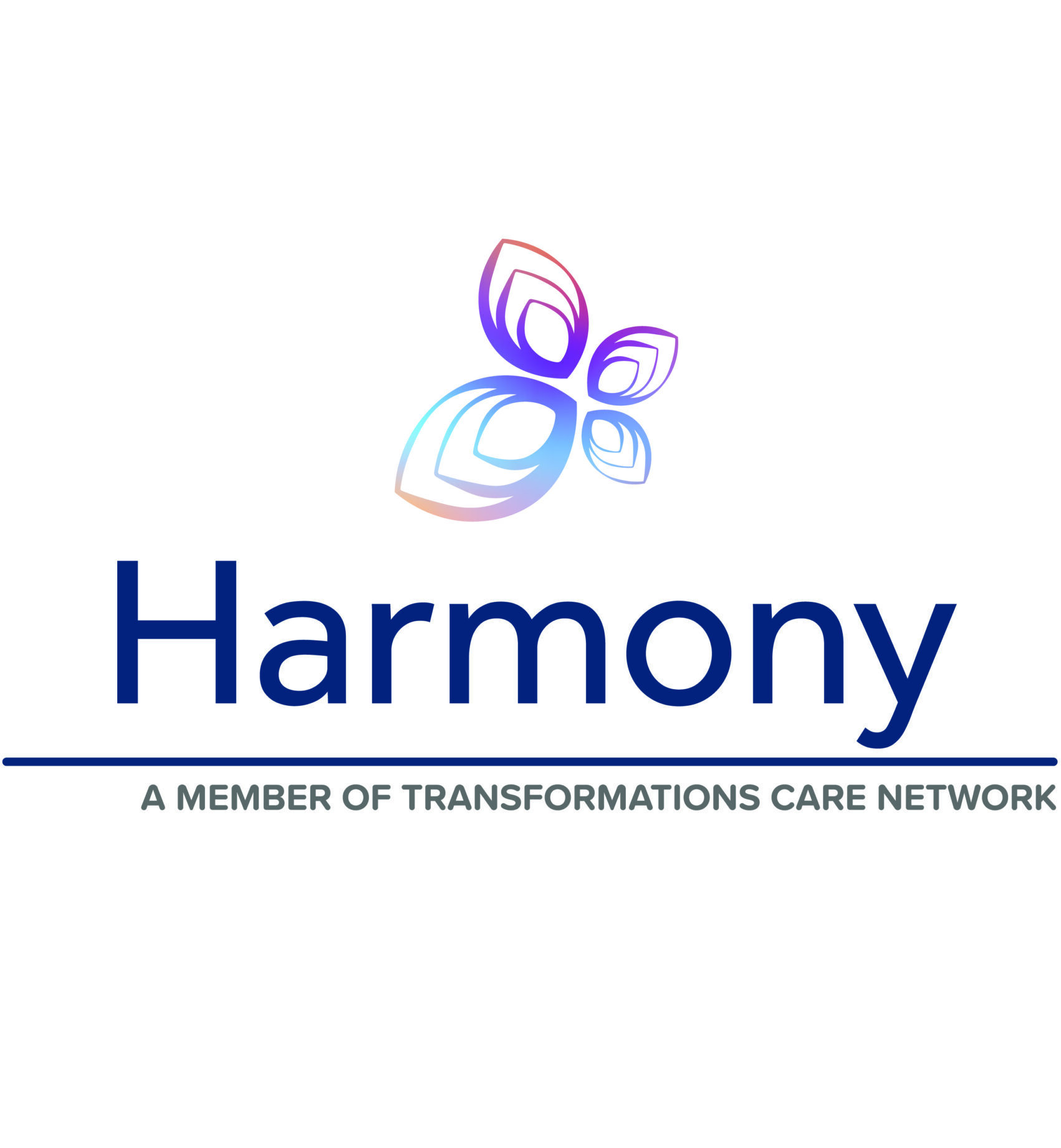 Aaron Kaplansky MSW, LICSW | Harmony